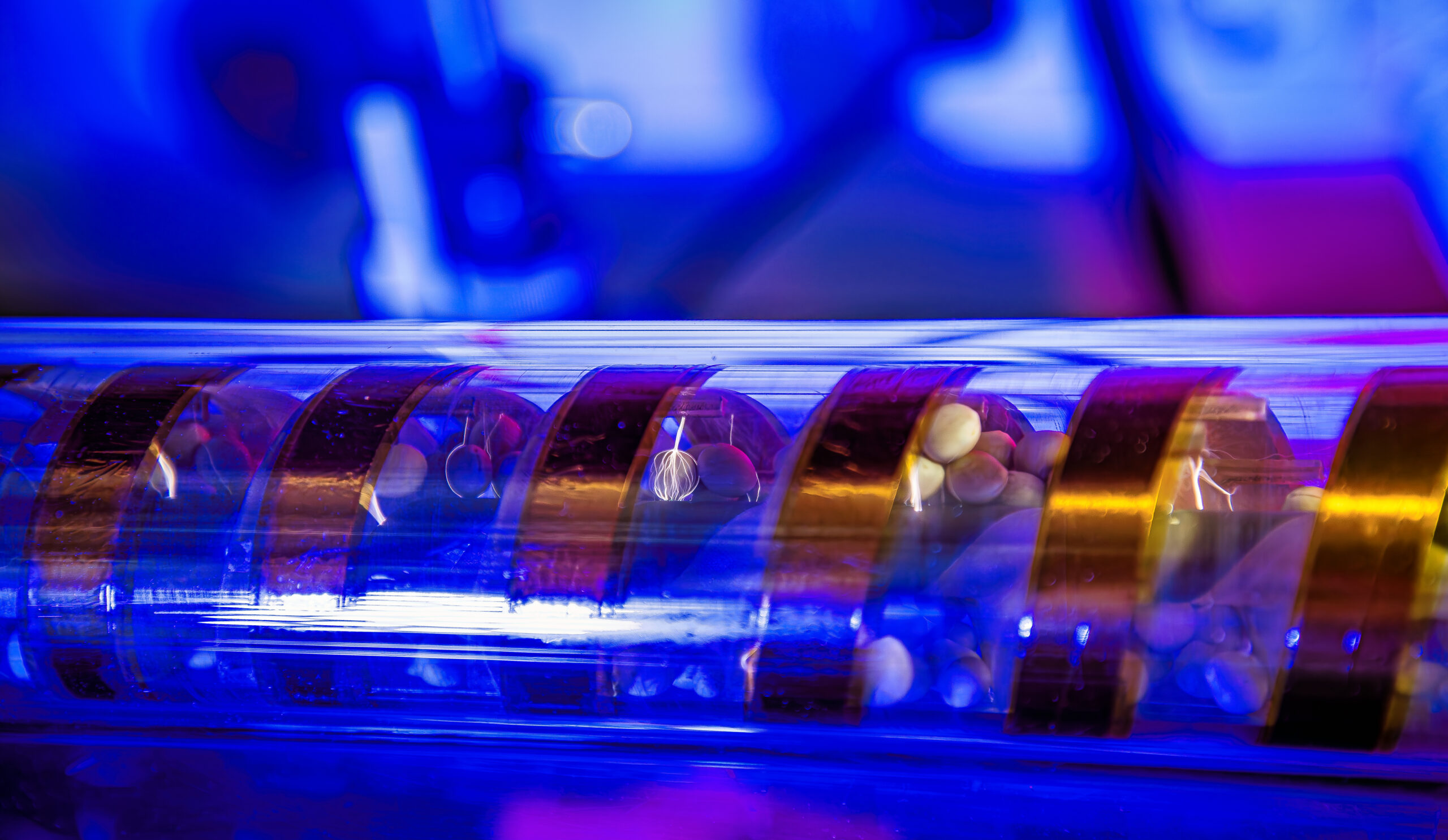 Plasma verbessert die Saatguthygiene - Physics for Food
